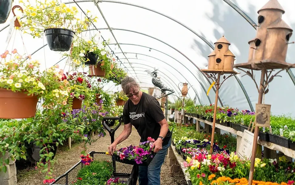 Summer-proof your garden with heat-tough plants