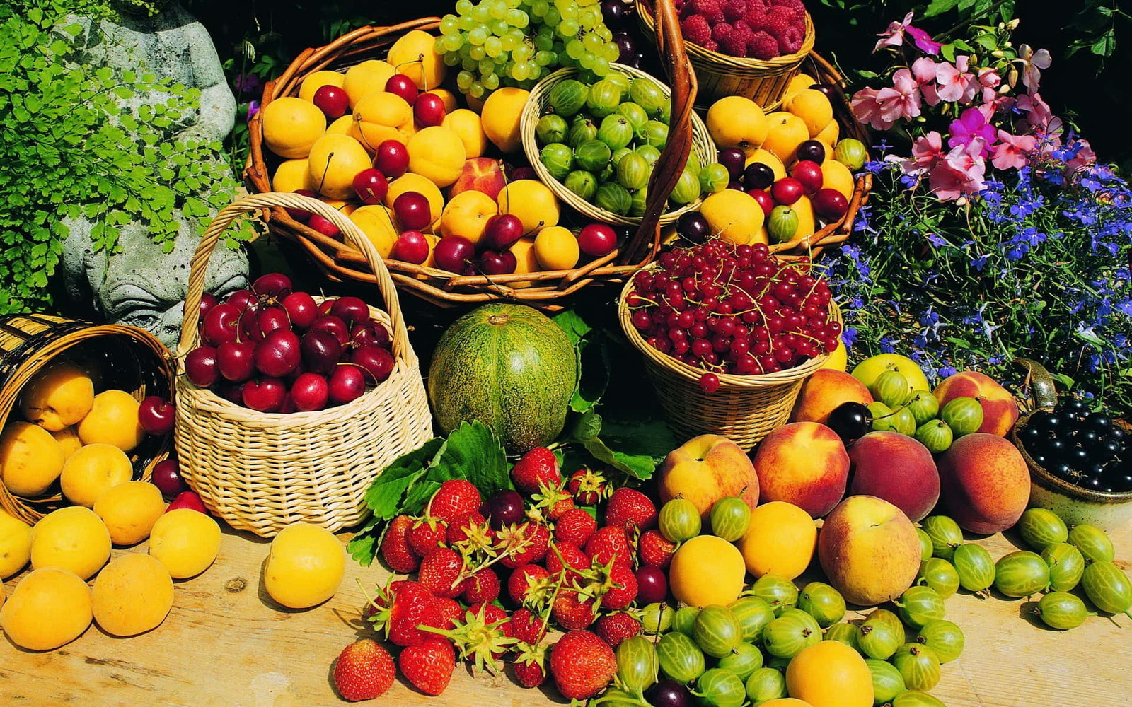 Vietnamese food exporters gain simpler pathway into China’s CIFER system