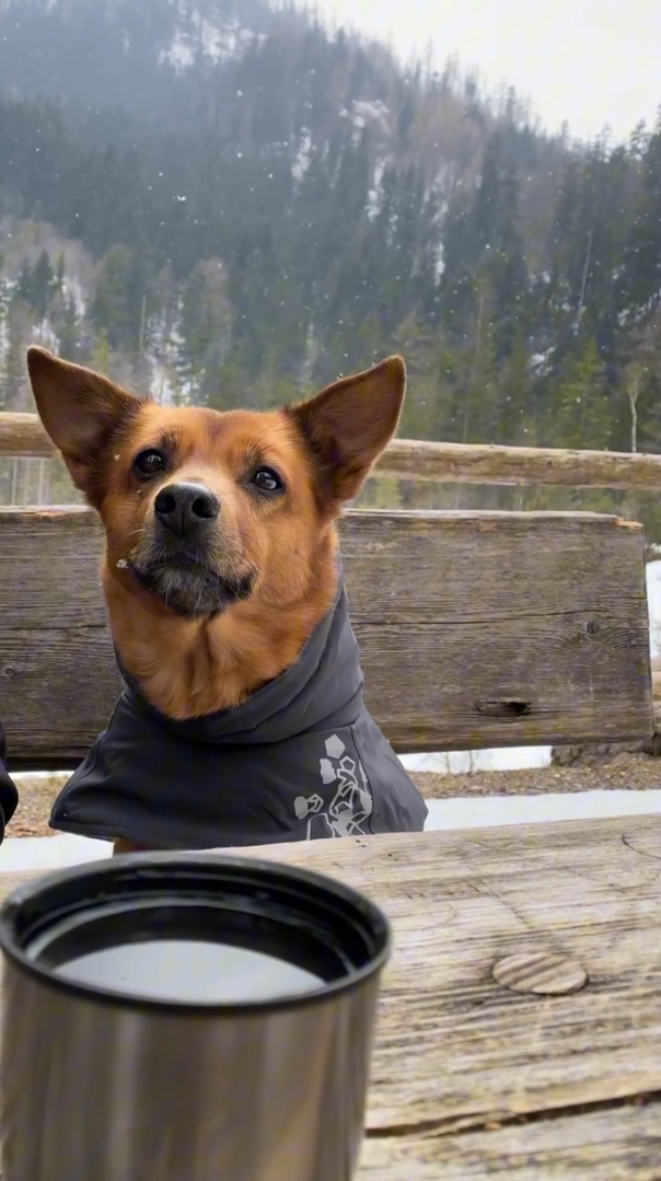 Entspannungszeit mit Mable