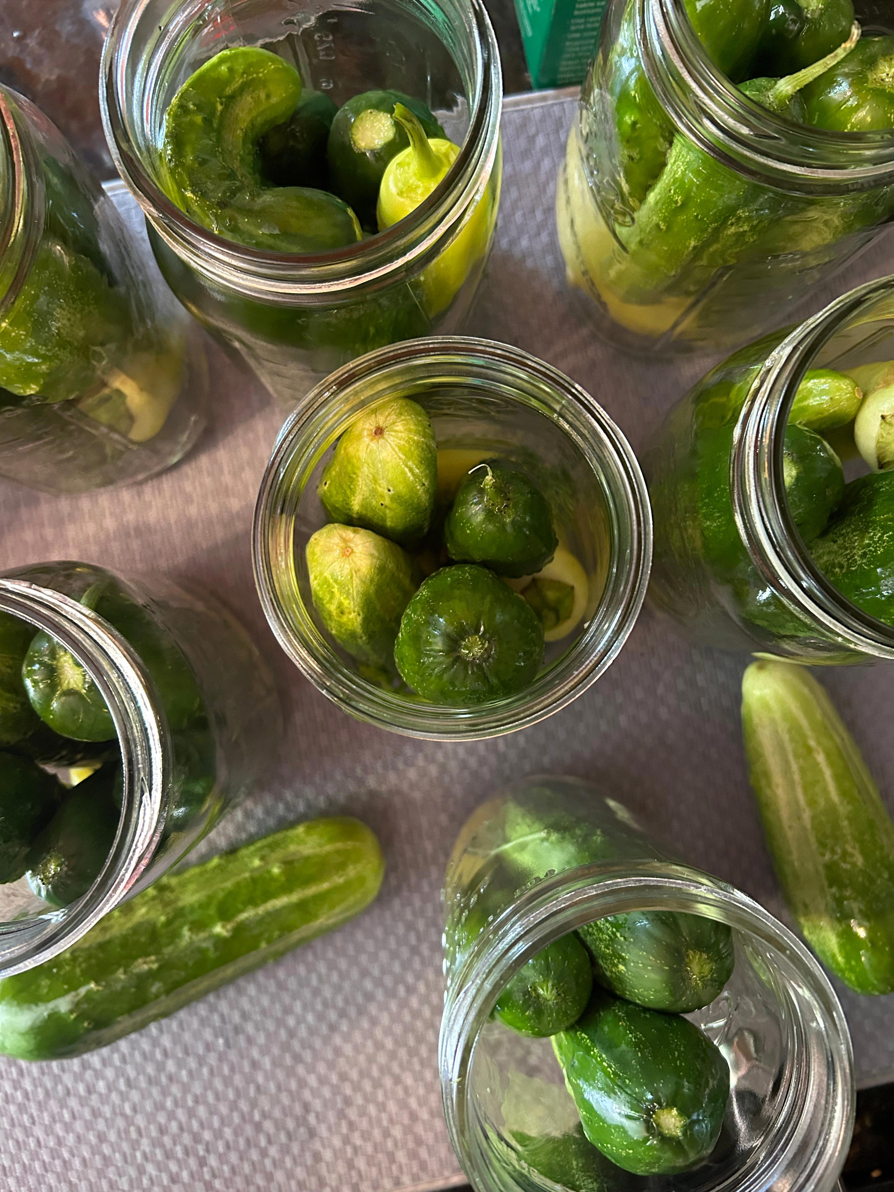 It's a big dill. Is pickle everything the new pumpkin spice?