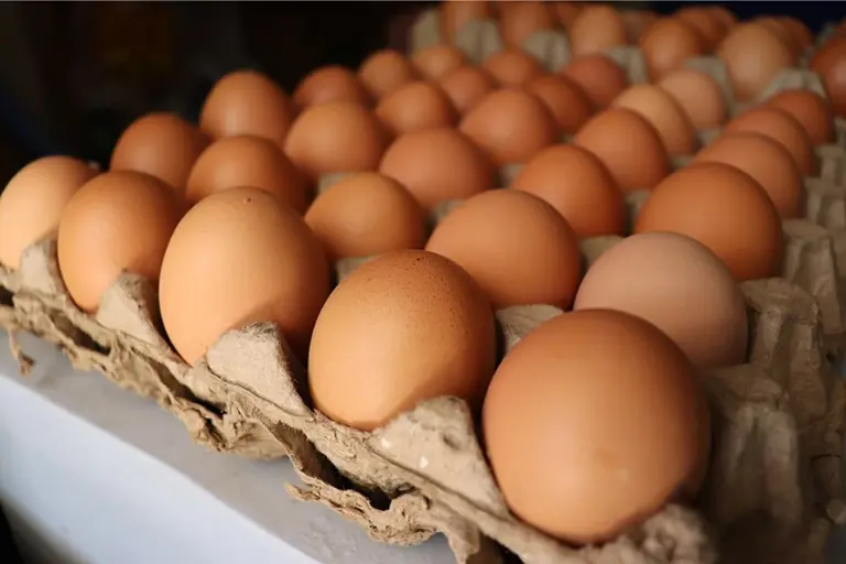 Philippines launches poultry livelihood program amid egg oversupply and ...