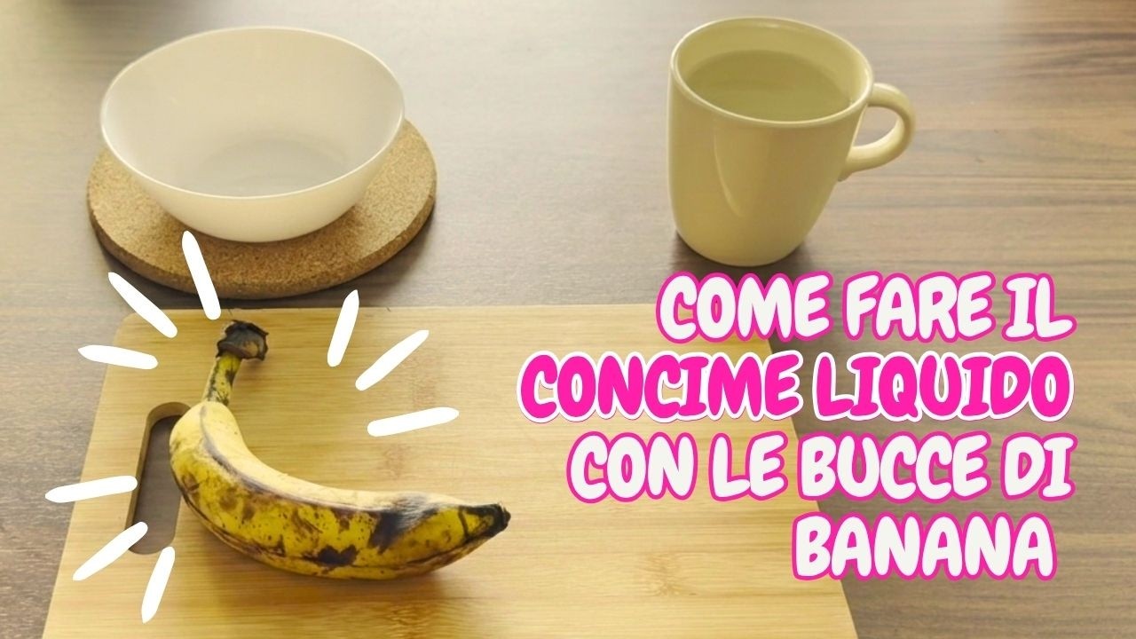Come fare il macerato di bucce di banana da usare come concime liquido