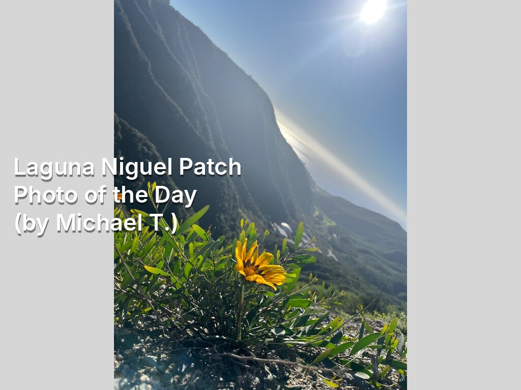🌱 Patch AM: Evening wine cruise and 14 more events