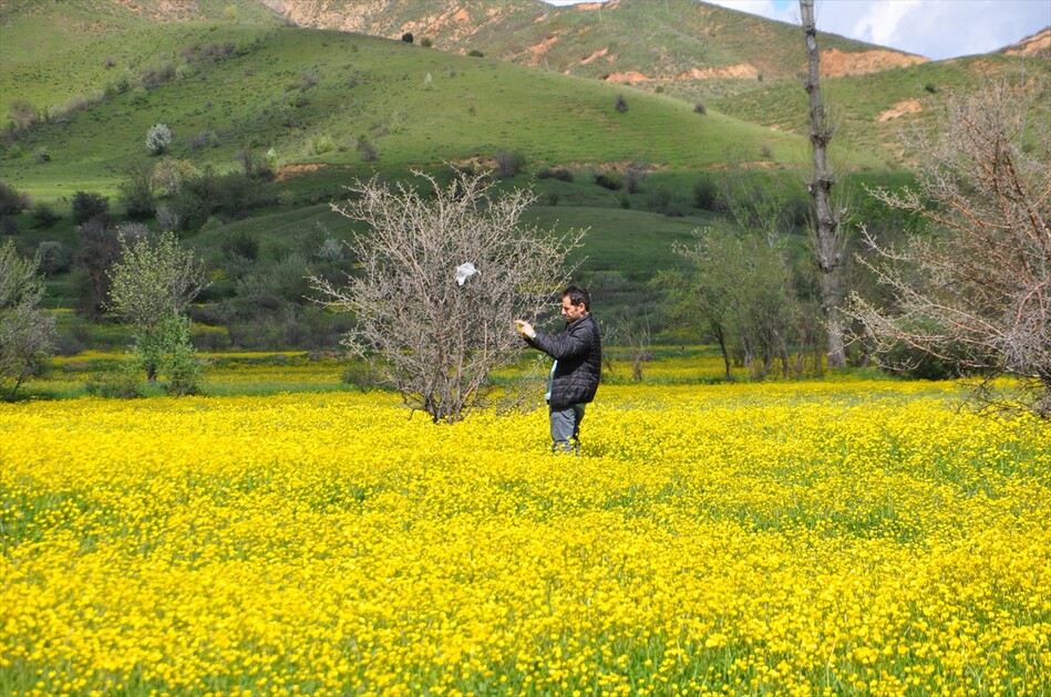 Hizan'da doğa baharla renklendi