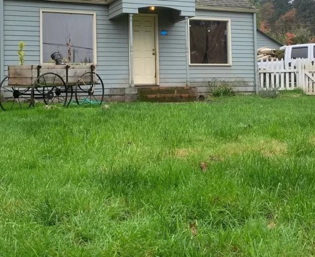 Stunning before-and-after pictures show awe-inspiring lawn ...