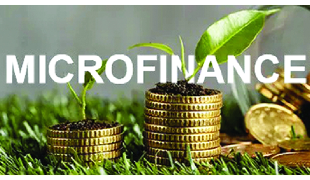 MFI portfolio dips 9% in April on pvt banks' cautious stance: Report