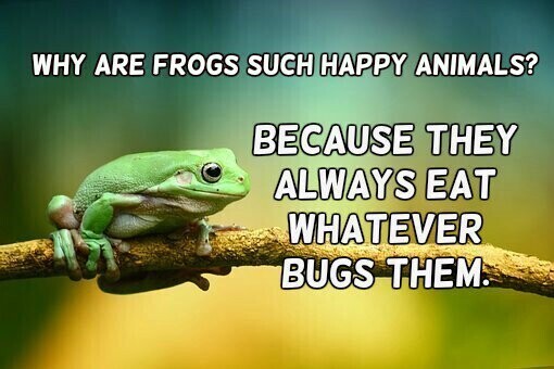 15 jokes that don't need to be complicated to be funny