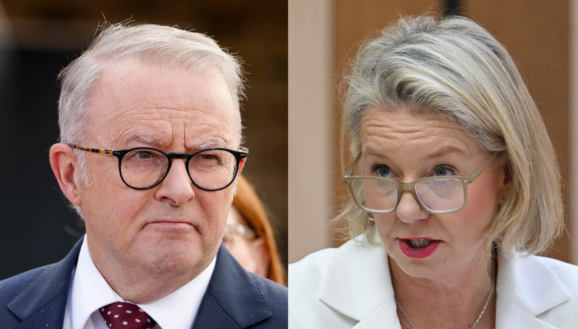 ‘Australians are appalled’: Labor’s deceitfulness ripped into by McKenzie