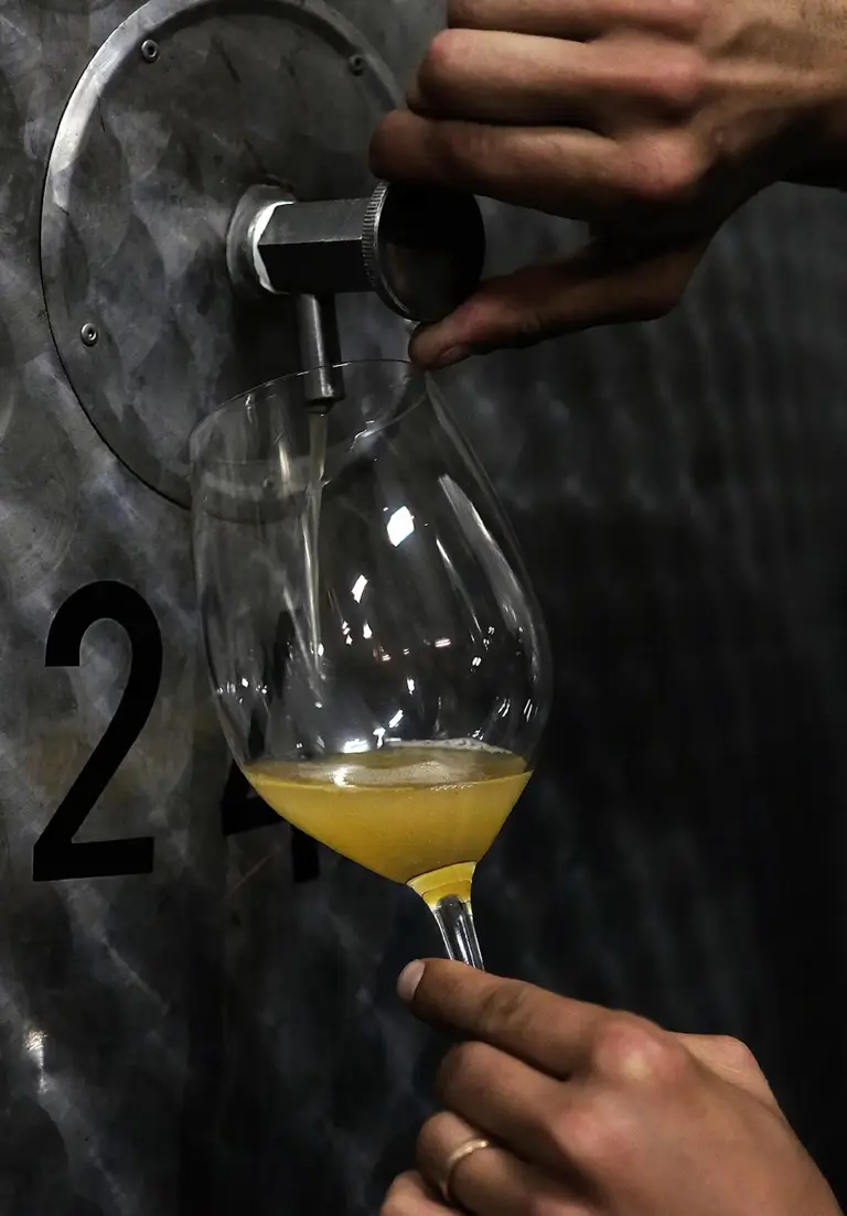 Il Derthona si candida a diventare traino dei vini bianchi piemontesi ...
