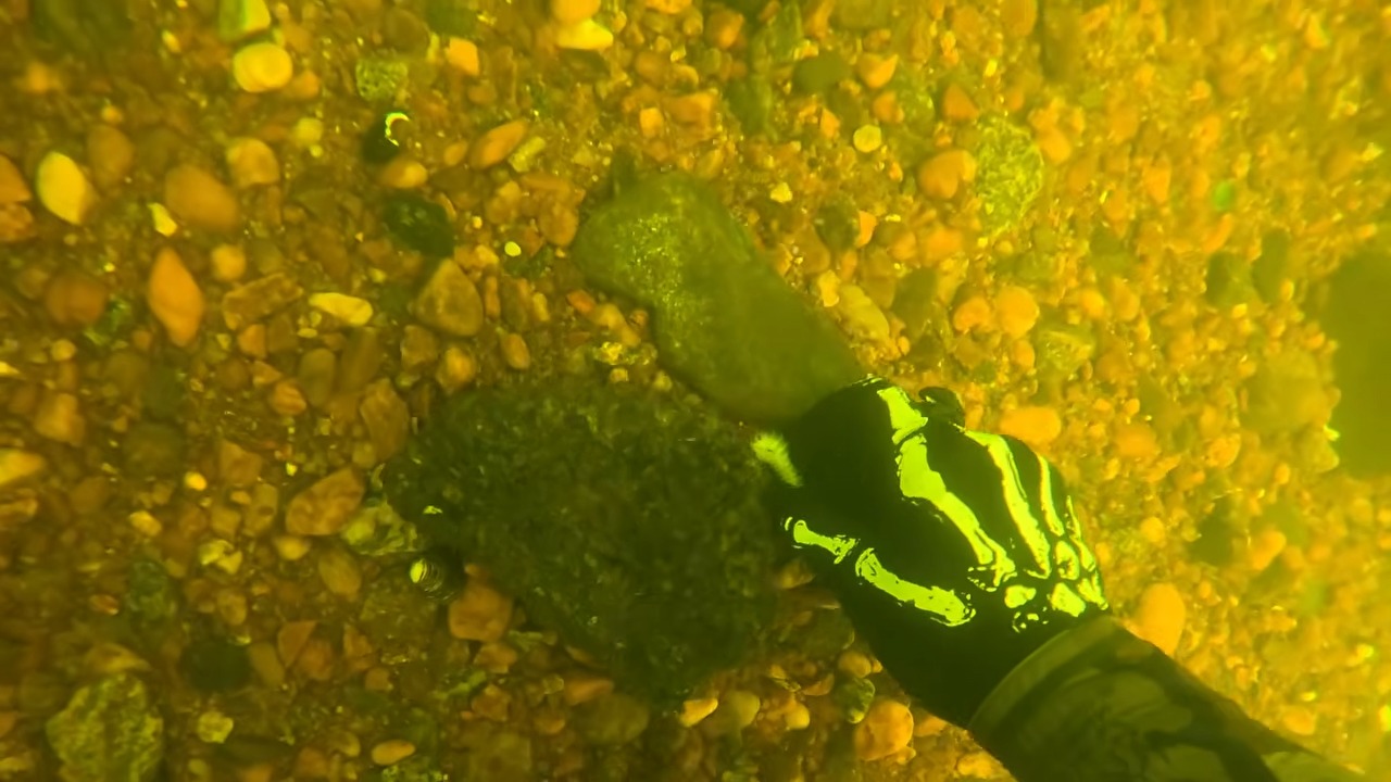 They went treasure hunting in the river - then pulled up two old ...