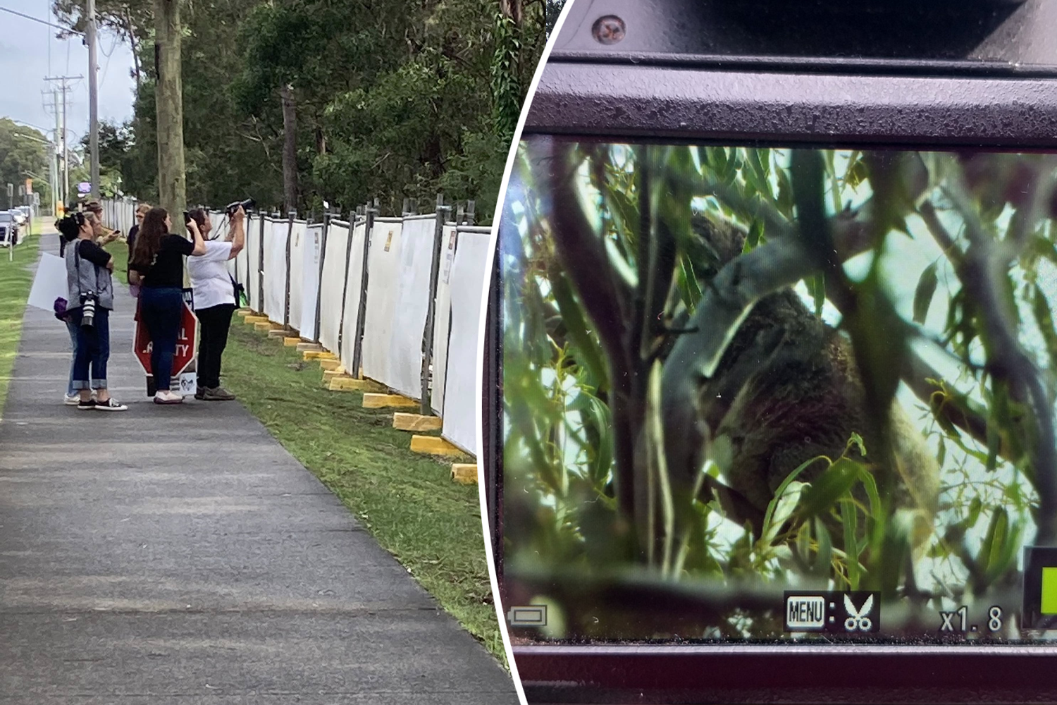Elite private school development under fire as iconic Aussie animal ...