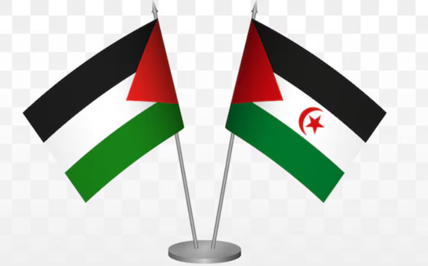 Palestina e Saara Ocidental, quando resistir é um direito