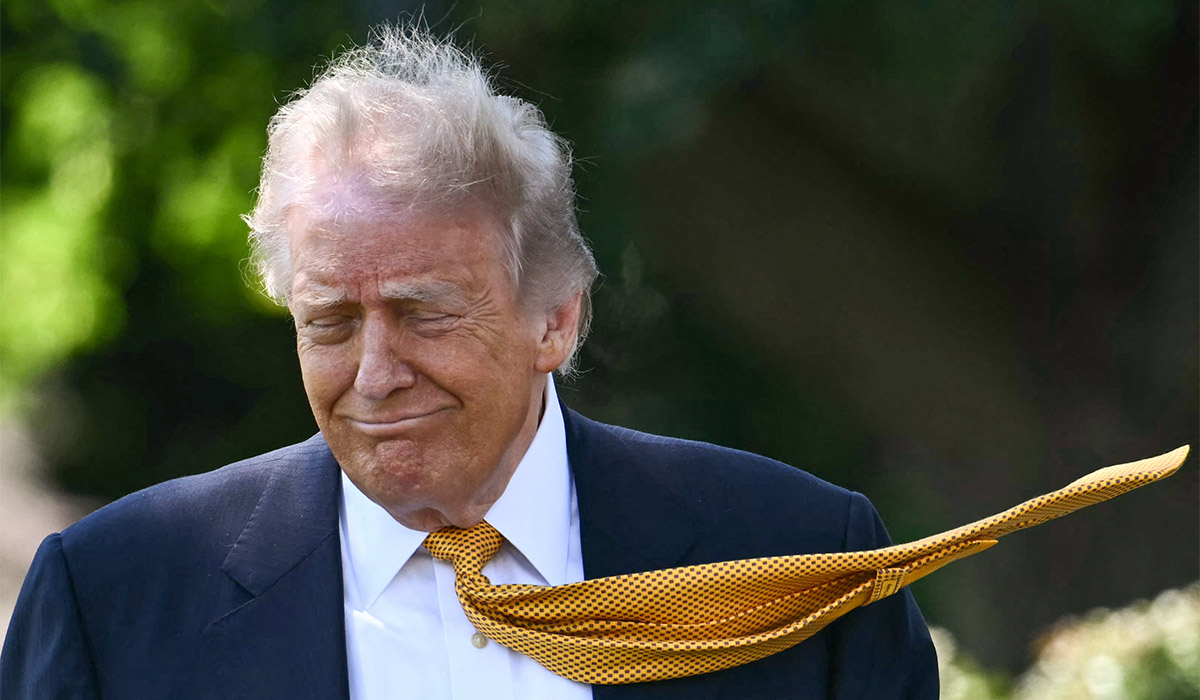 Bombshell report claims Jeffrey Epstein was determined to expose Donald ...
