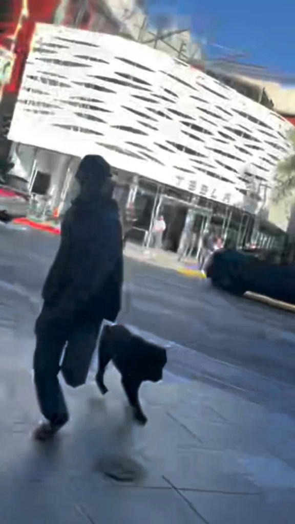 Bat-wielding driver with dog terrorizes shoppers in Santa Monica as ...