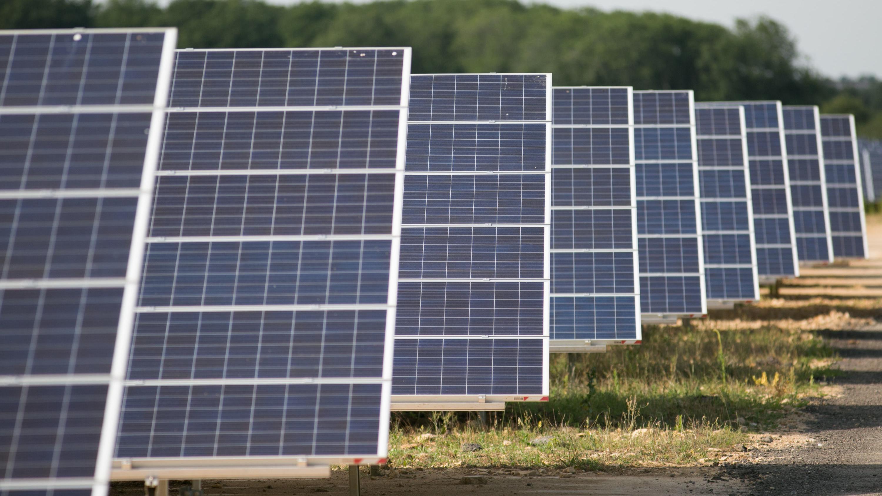 Solar farm developers seek views on major project