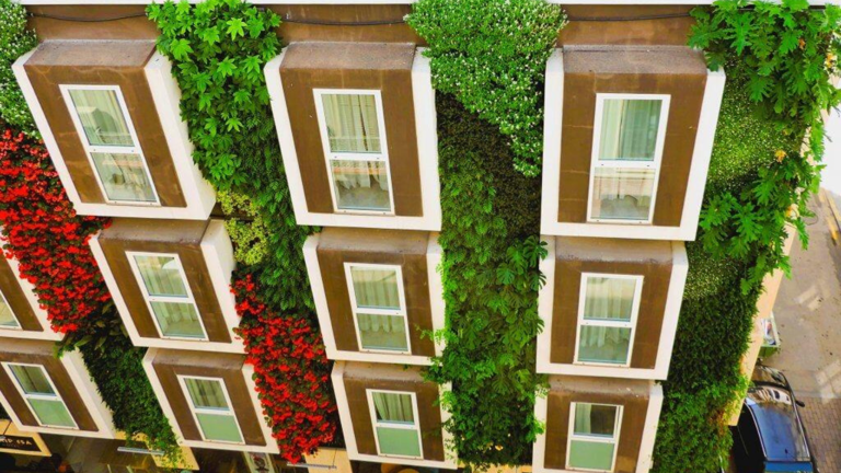 He turns concrete walls into living forests: Meet the Spanish botanist ...