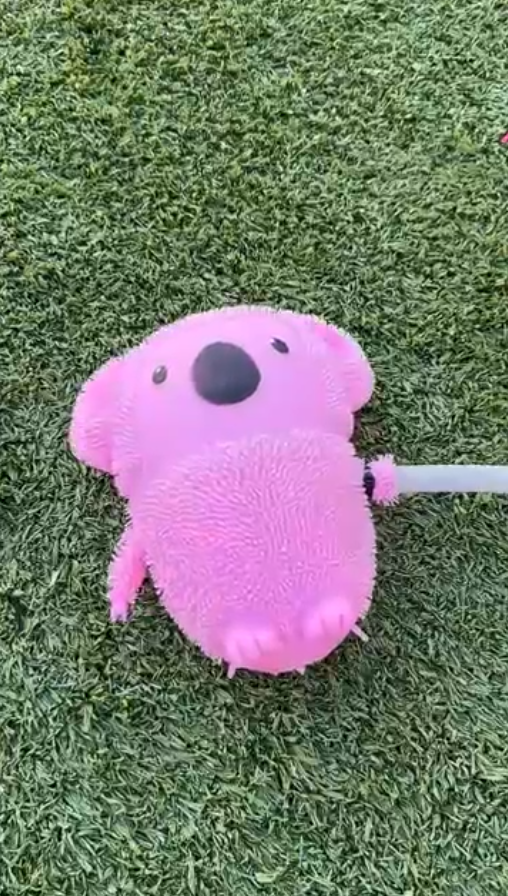 Exploding Stretchy Toys Gone Wrong Viral Toy Experiment