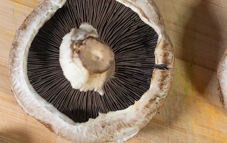 Master mushrooms for flavor-packed meals
