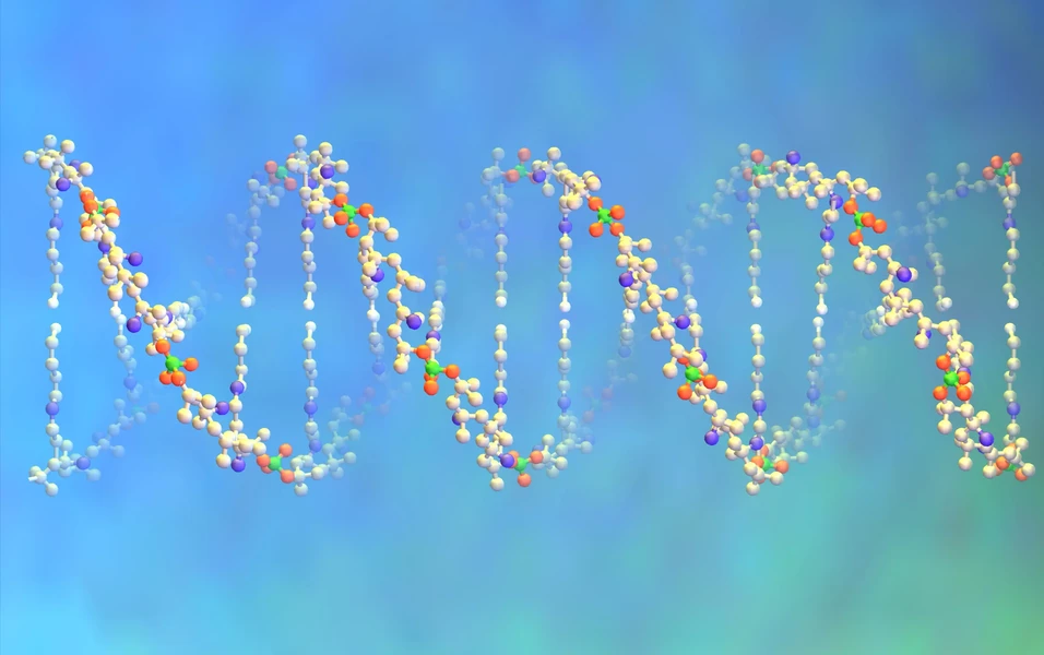 Study maps DNA’s ultrafast network shielding against UV damage