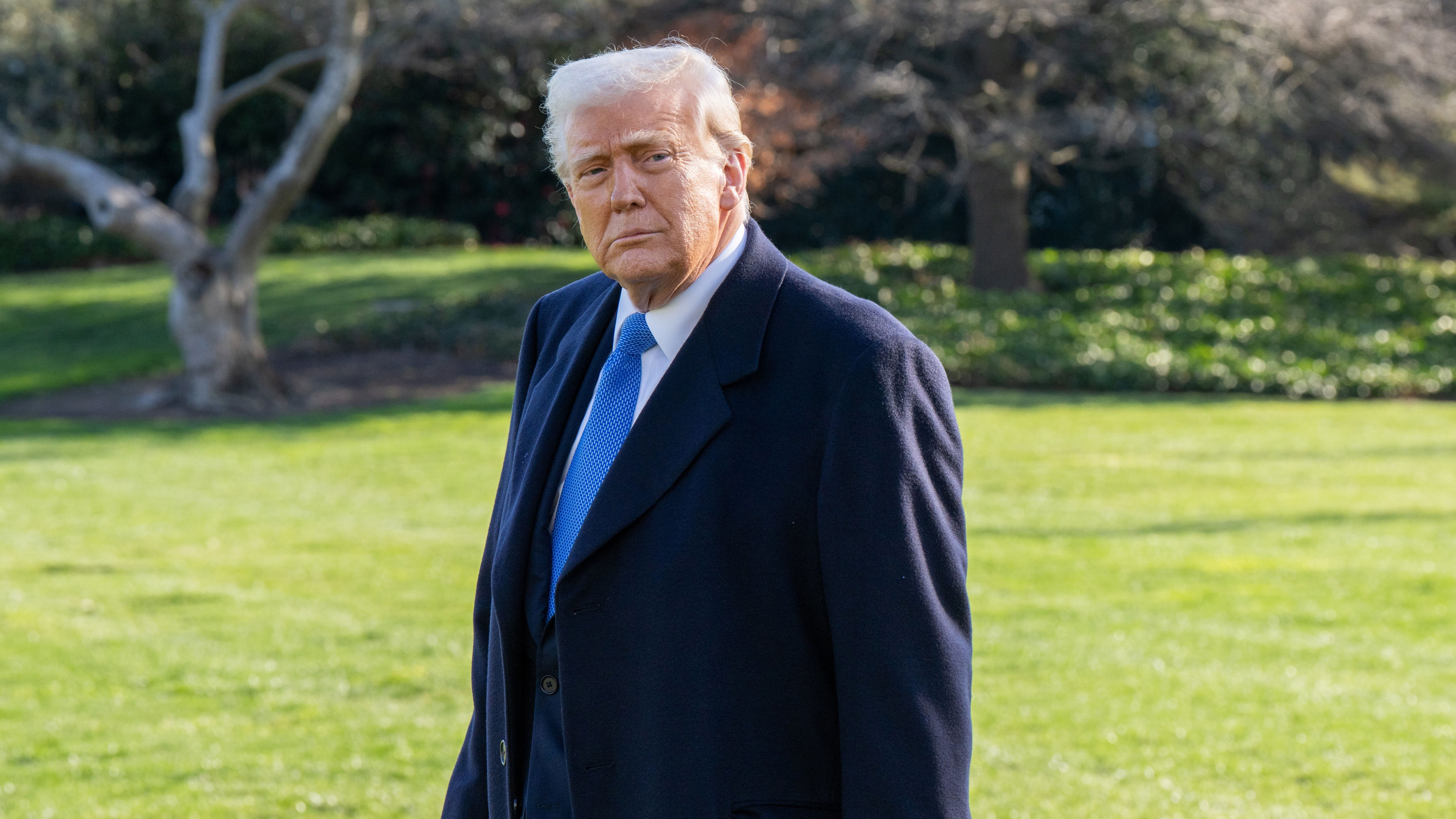 Donald Trump porównuje arenę MMA do wieży Eiffla. "Może tego nie ...