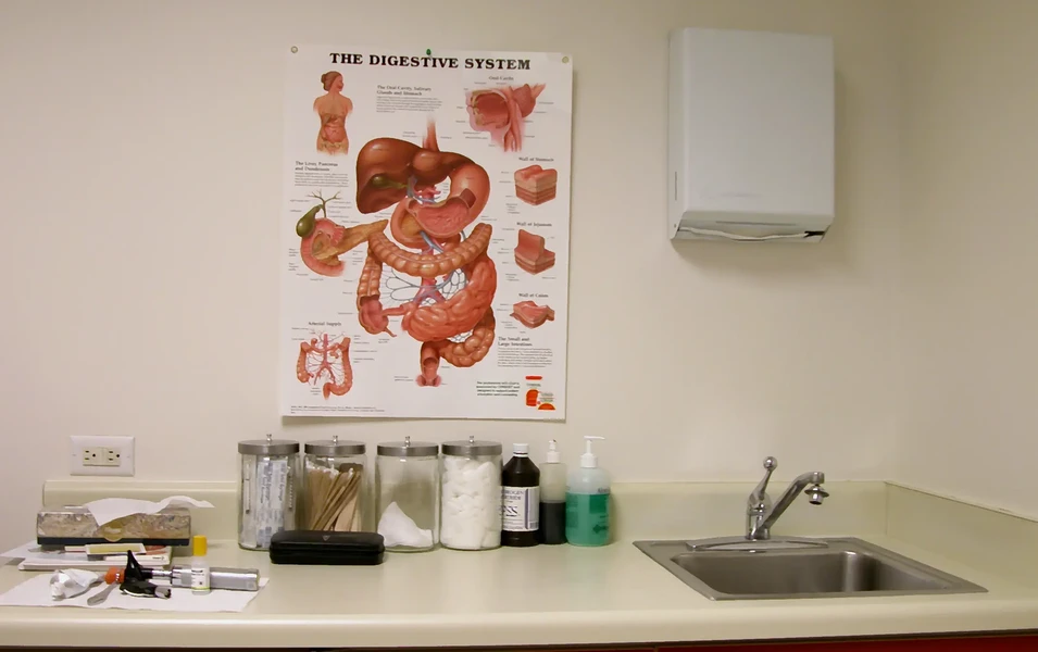 Lactulose and your gut health journey