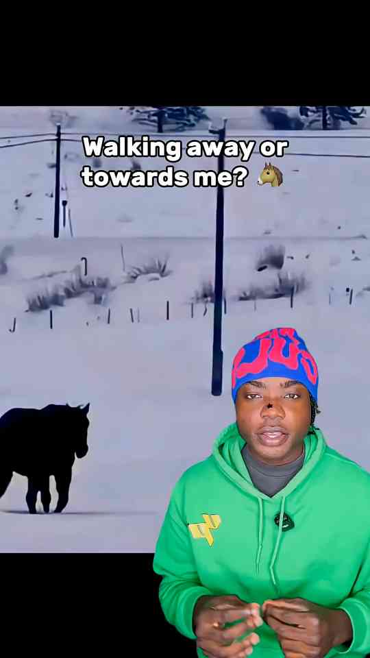 The horse illusion