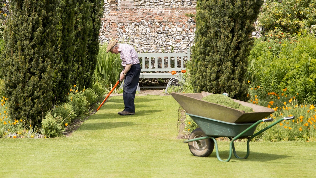 Experts outline fixes for yellow lawns as summer nears