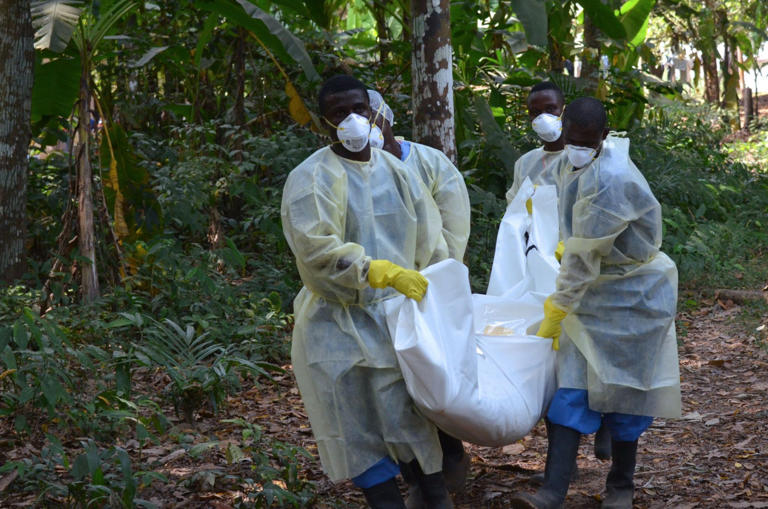 I led the UK’s military response to Ebola in 2015. I fear what happens ...