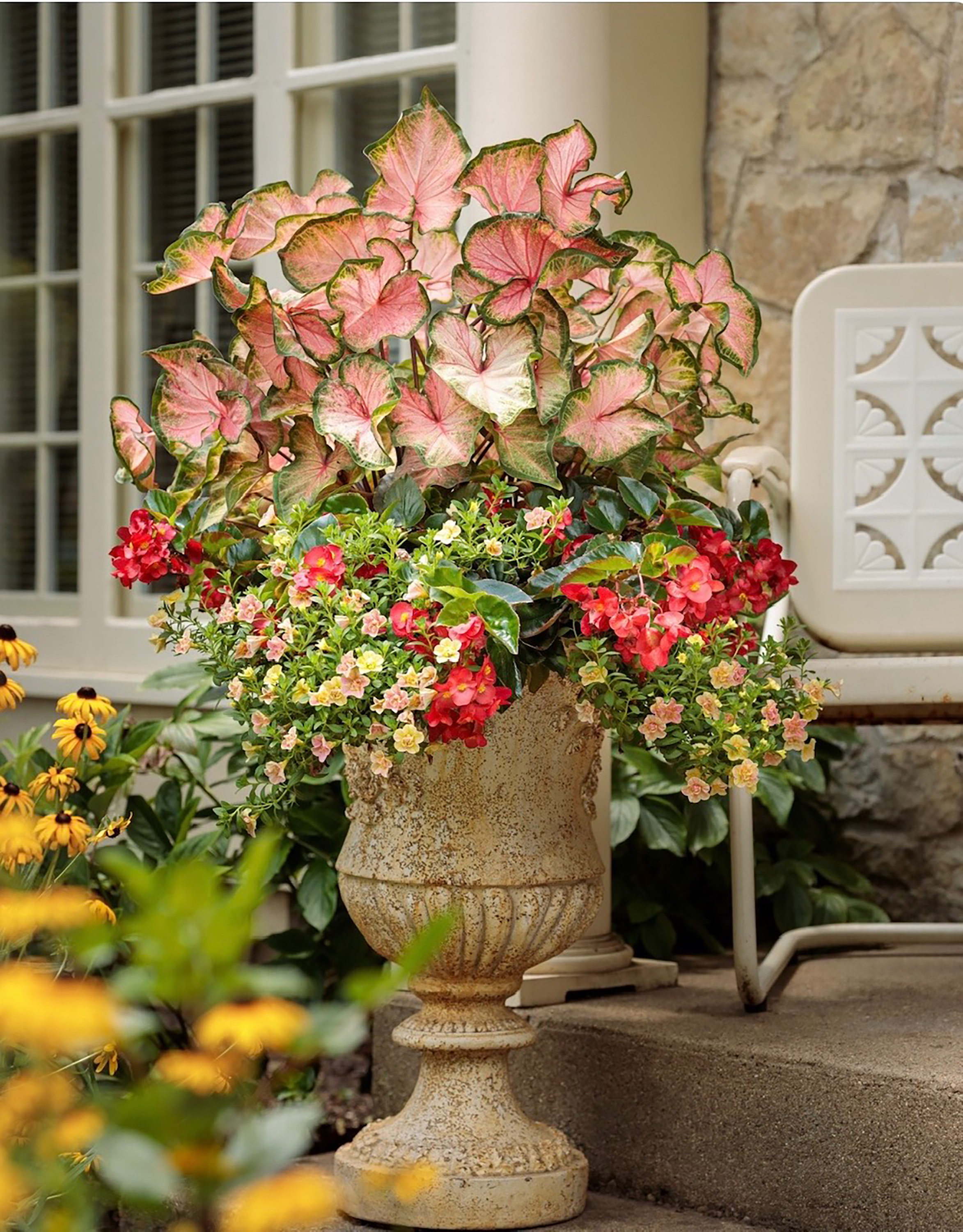 On gardening: There is magic in the garden this year
