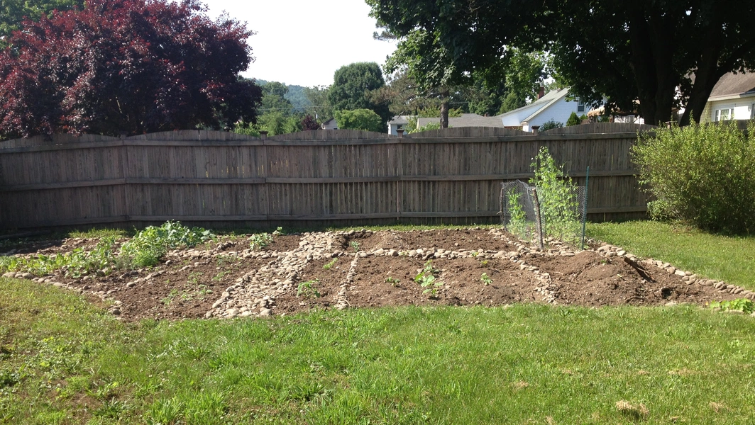 Your first veggie garden made simple