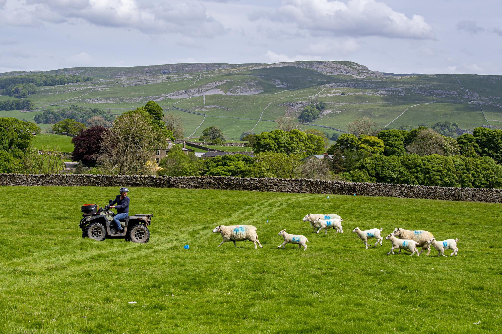 Rural crime cost the North East £7.6m in 2025, new NFU Mutual report ...