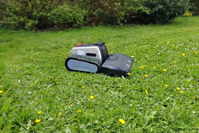 J’ai mesuré mon jardin depuis l’espace pour (enfin) choisir le meilleur ...