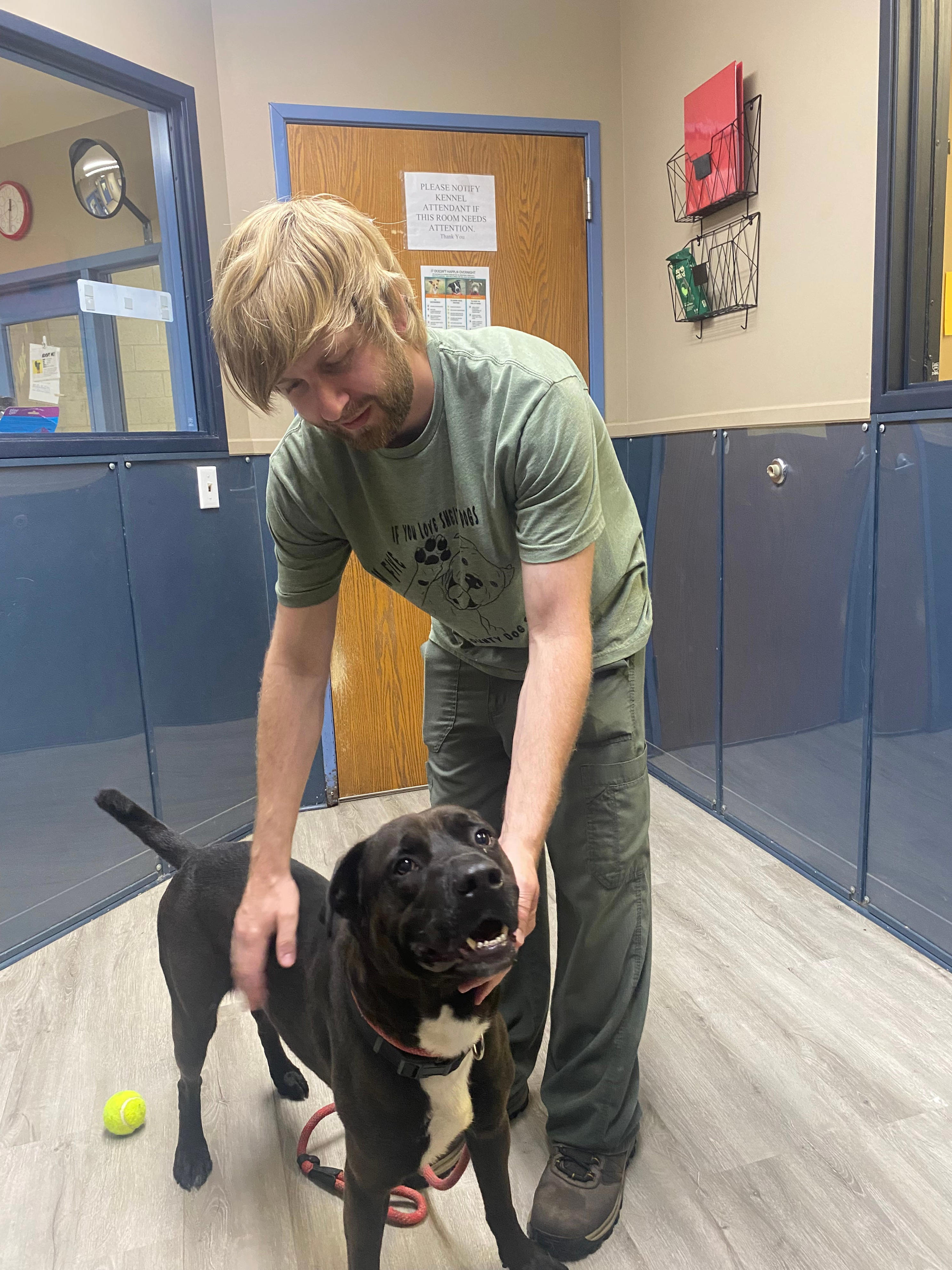 Pet of the week is Garth, a gentle pit bull/boxer mix