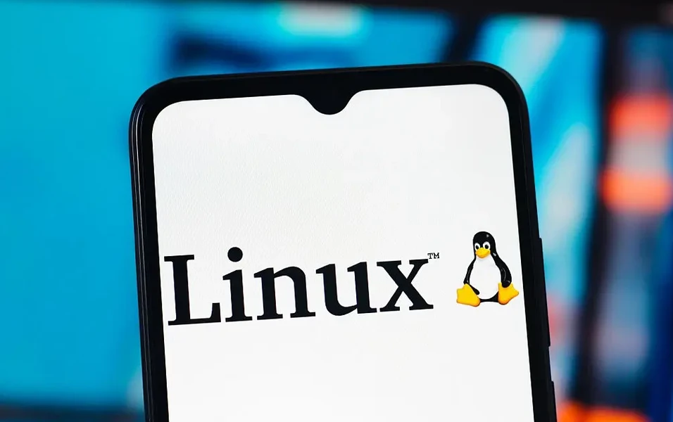 Linux maintainer says Rust key to fighting AI-found flaws