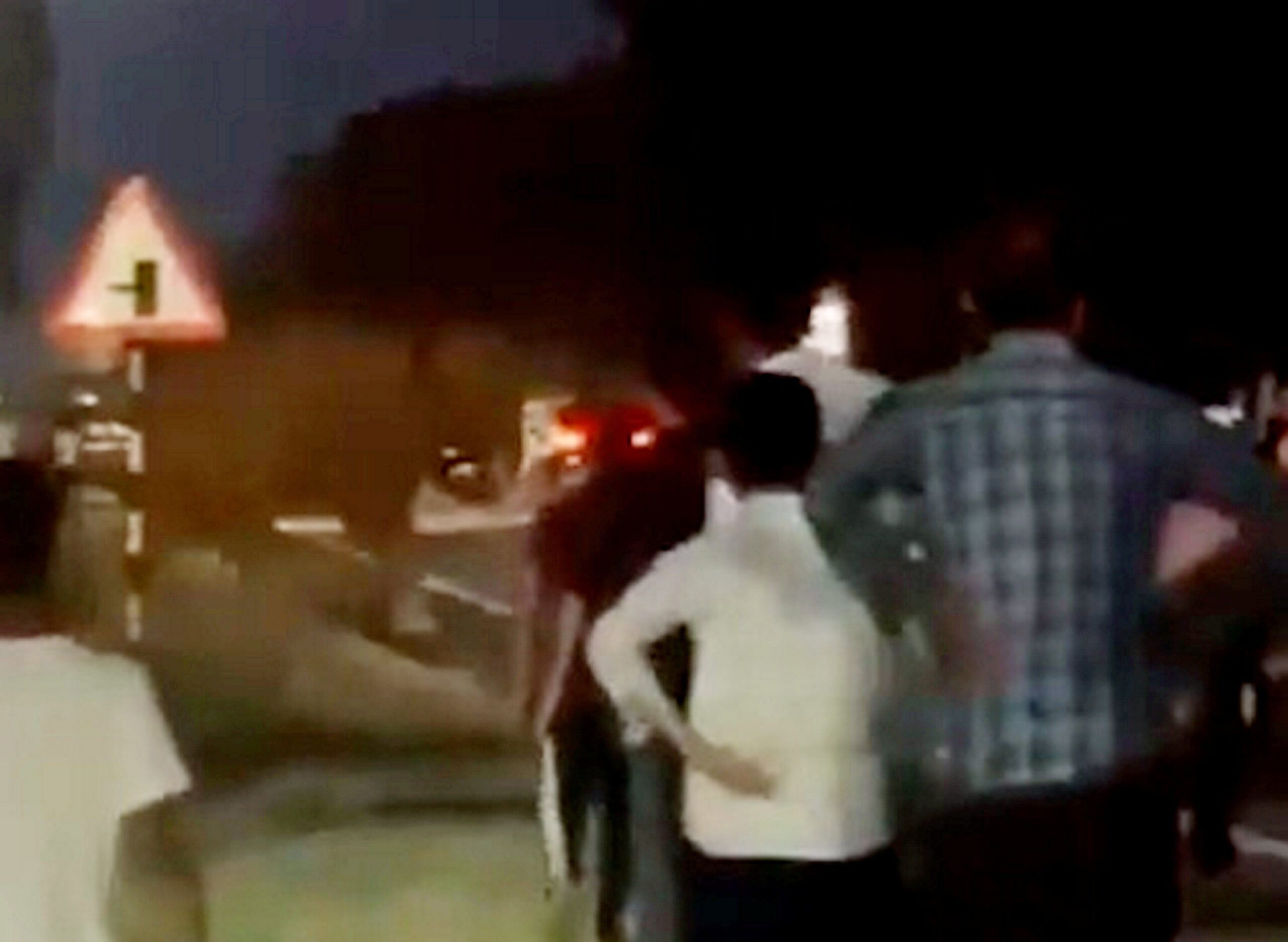 Moment driver swerved to avoid elephant crossing busy road