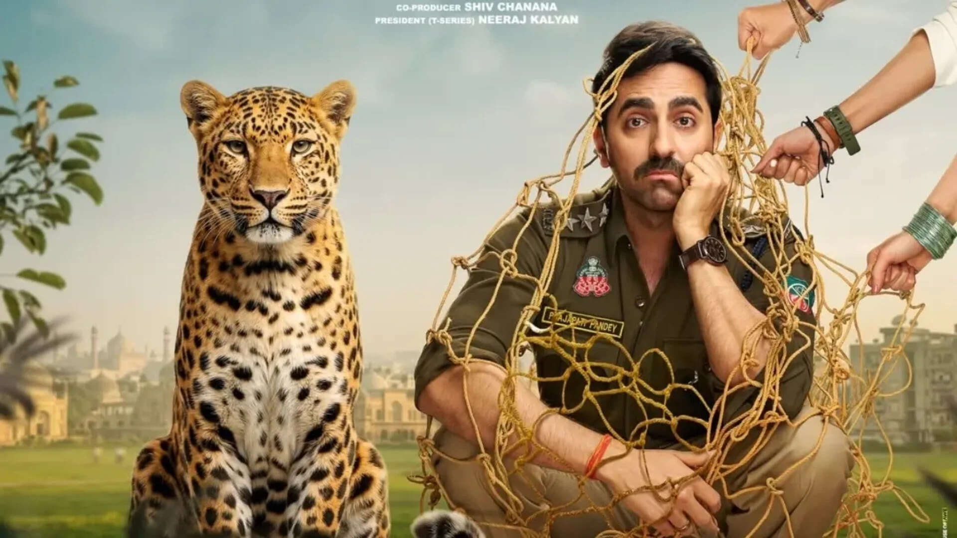 'Pati Pani Aur Woh Do' box office collection day 13: Ayushmann Khurrana ...