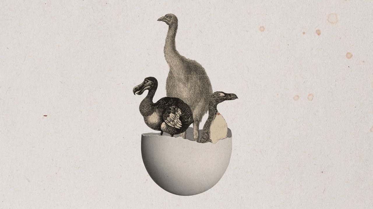 Chickens hatched from artificial eggs for the first time