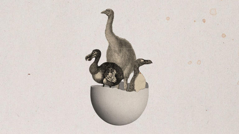 Chickens hatched from artificial eggs for the first time