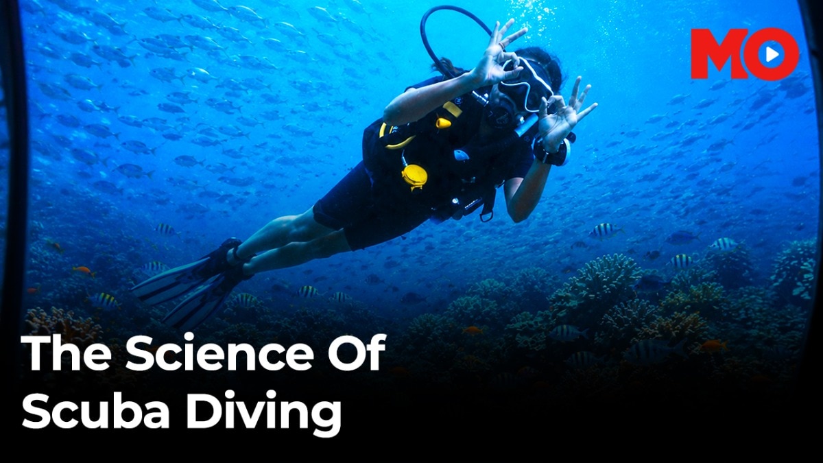 The science behind scuba diving