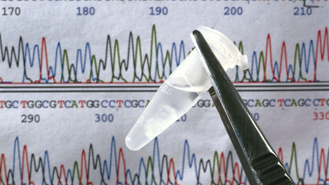 Why inclusive genetics could change your health future