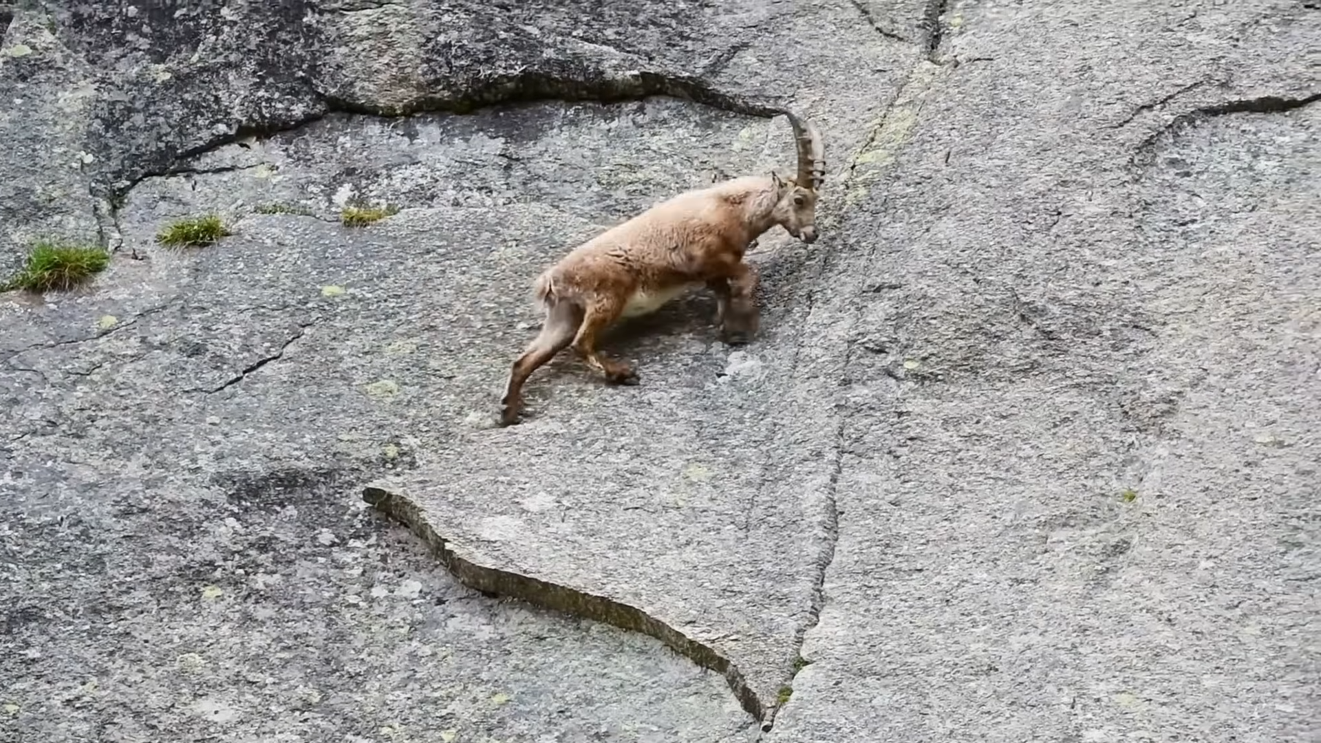 Watch what happens when a single slip means certain death
