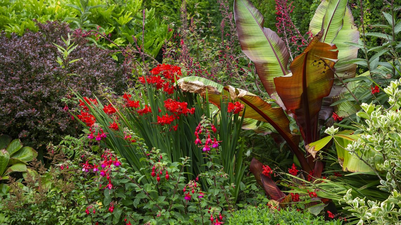 Color drenching isn’t just for interiors – it’s the outdoor trend ...