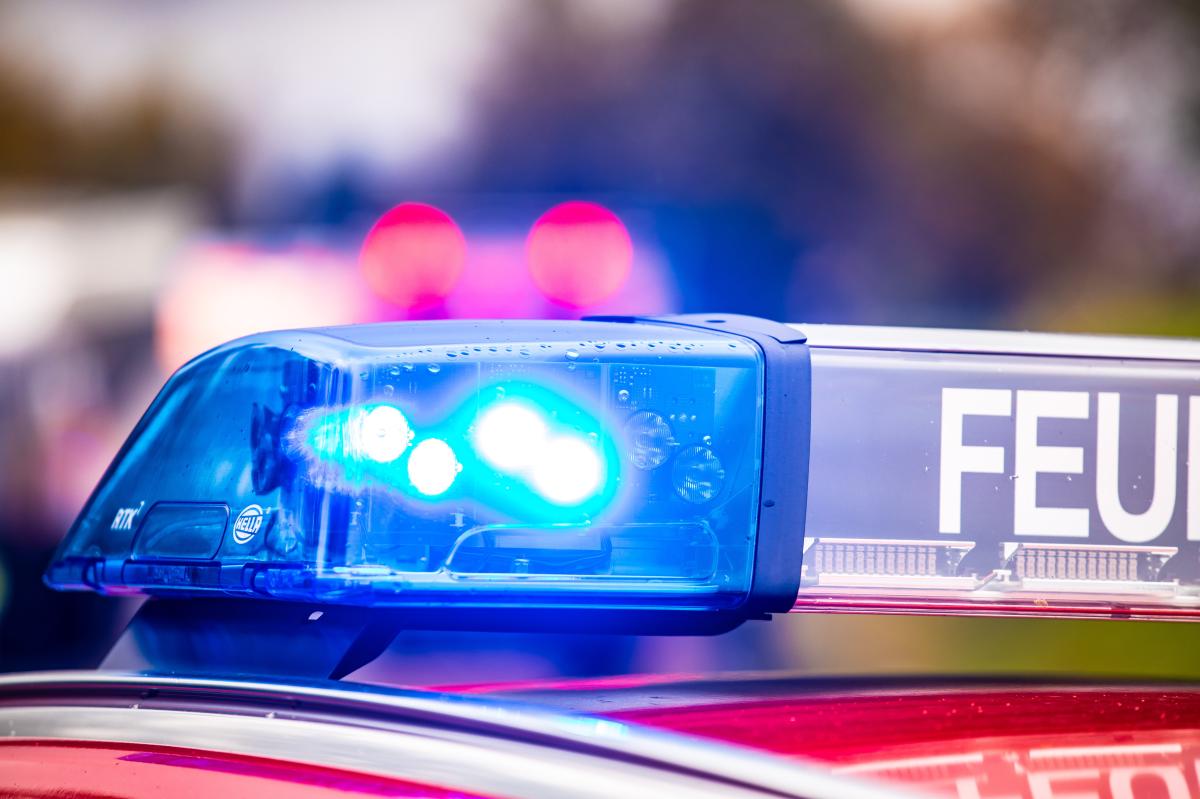 Alpaka-Stall brennt in Wald am Arlberg nieder – sieben Feuerwehrler ...