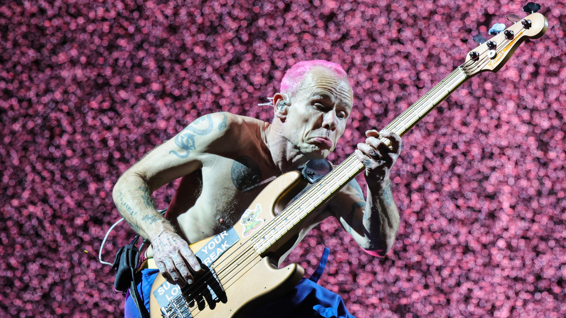 Diese Gitarrengesichter sind einfach zu herrlich