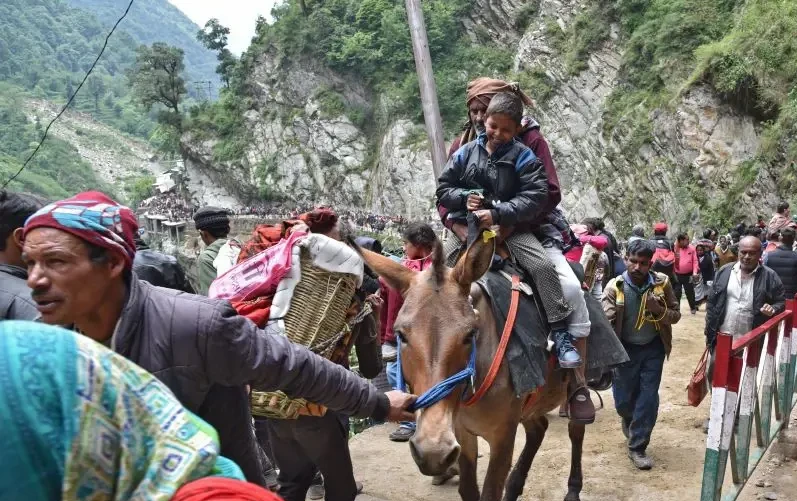 Kedarnath mule video sparks debate on animal welfare rules
