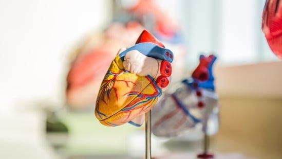 What is atrial fibrillation? Heart surgeon with 25 years of experience ...