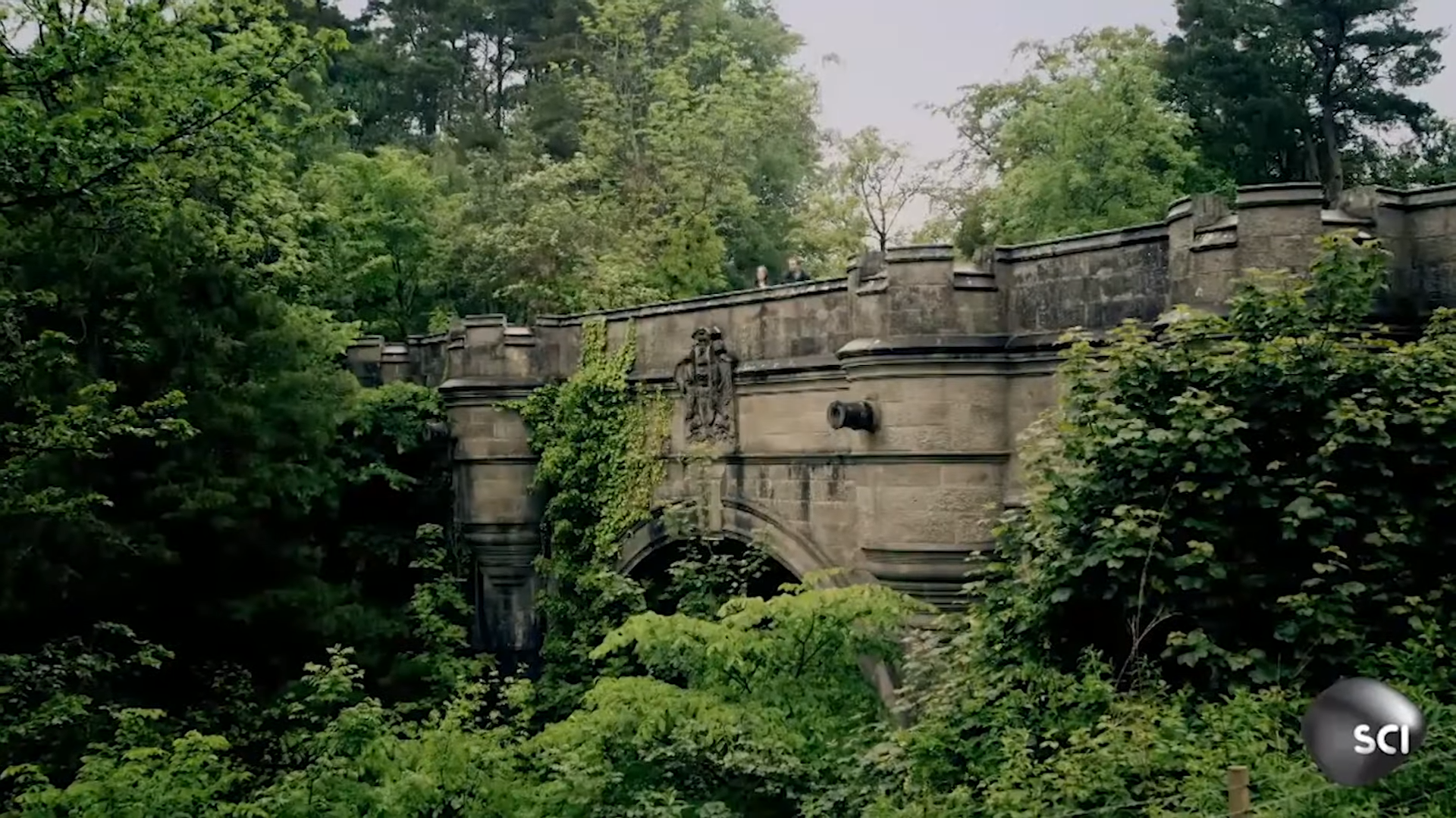 Hundreds of dogs jumped off the same bridge - then locals started ...