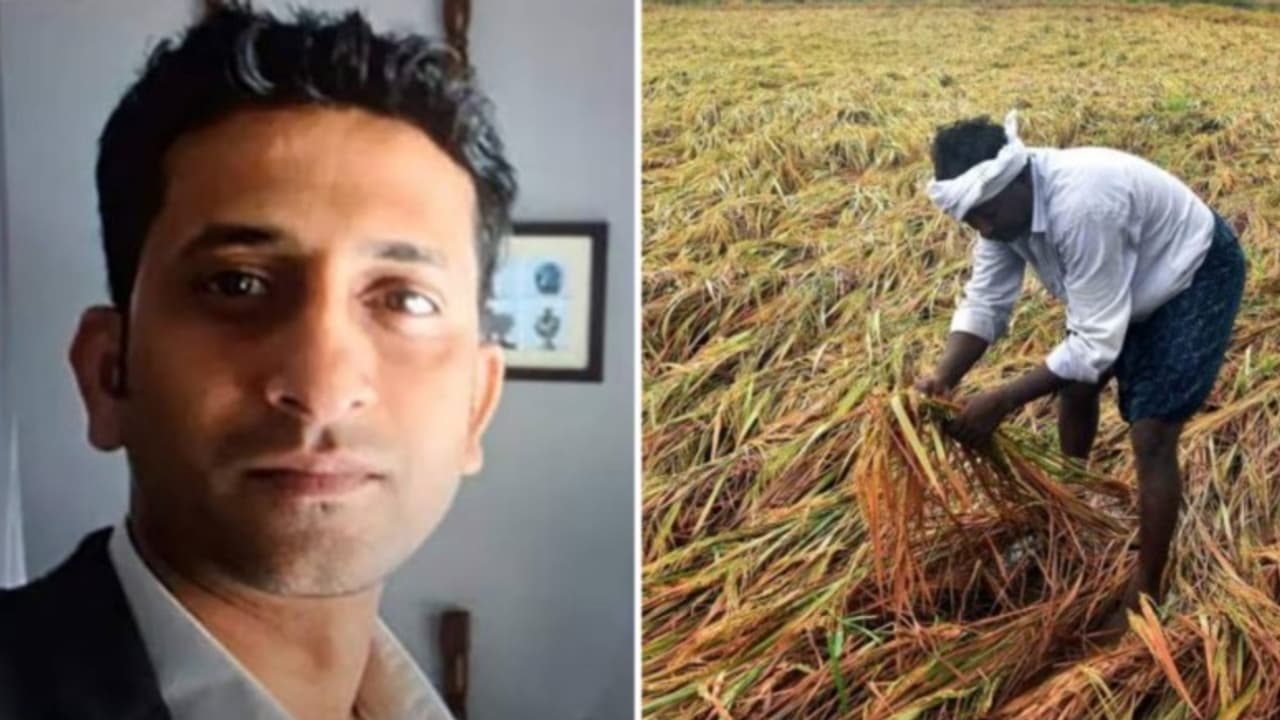 Lightning horror in Mysuru: Ex-IT employee killed while plucking mangoes