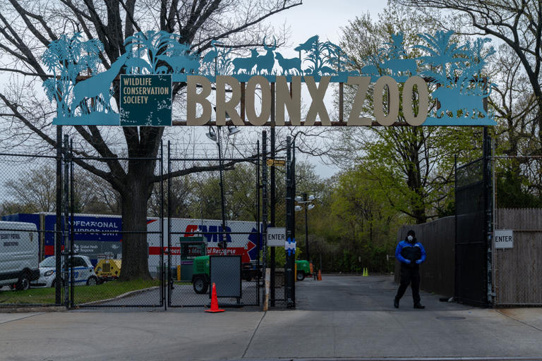 Happy the elephant’s final goodbye leaves Bronx Zoo staff in tears