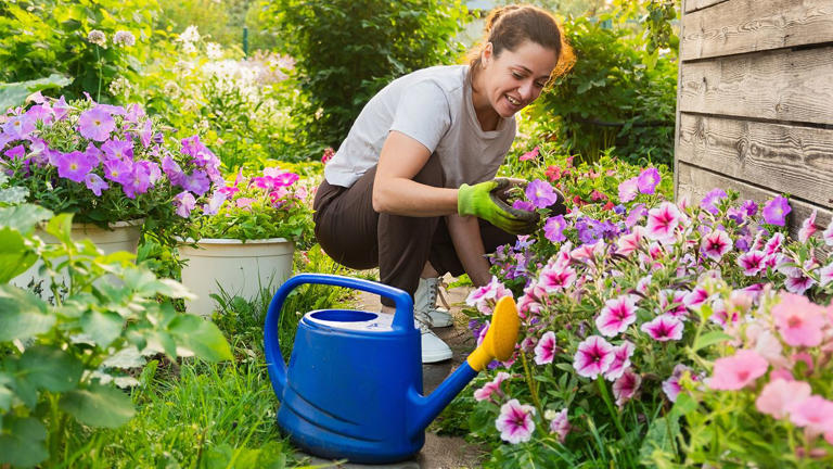 I tried a '30-minute garden reset' and it's totally transformed my ...
